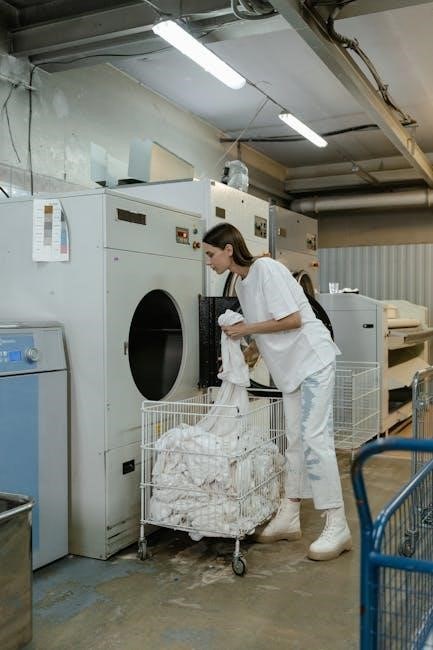 Bosch 300 Series Washing Machine Manual | Easy Guide & Troubleshooting